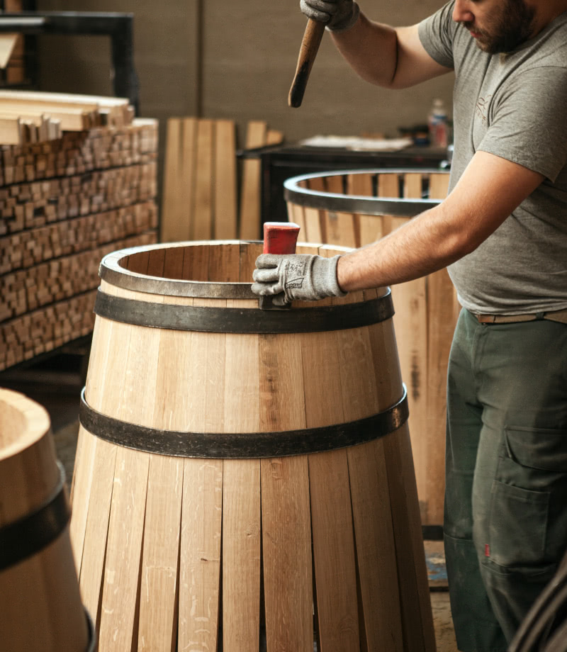 The D’Collection Barrel: a story of grape varieties | Demptos